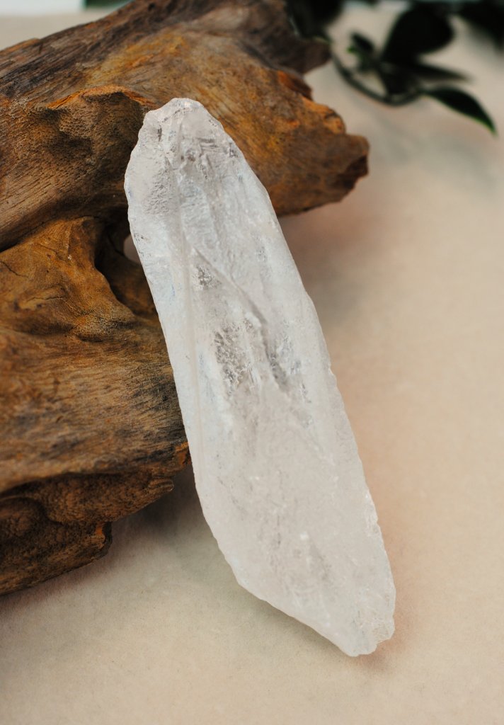 Lemurian Roots, Code of Freedom XL - Code keeper of freedom (Lemurian ...