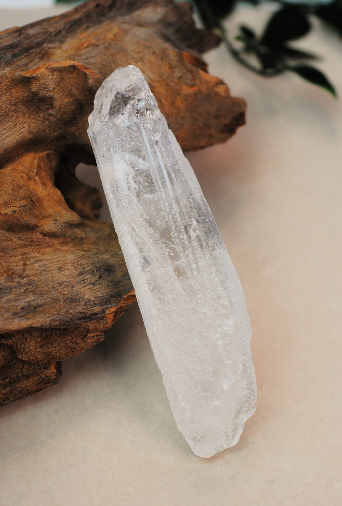 Lemurian Roots, Code of Freedom XL - Code keeper of freedom (Lemurian ...
